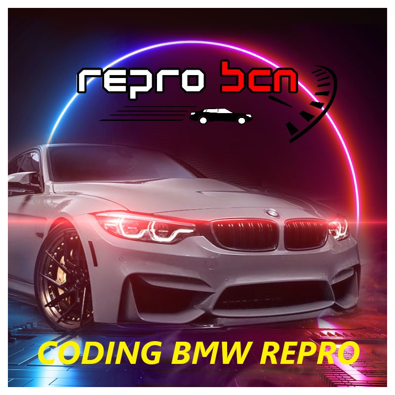 CODING BMW TELECARGAS 330D 530D M2 M3 M4 M5